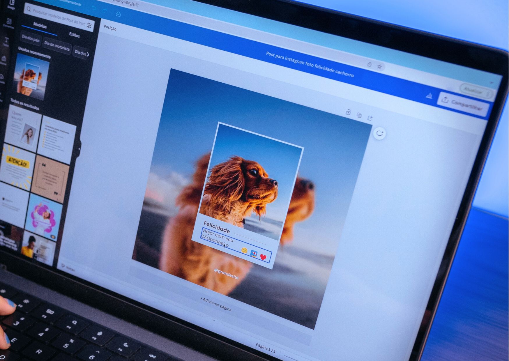 Digital Creativity with CANVA - ANLC